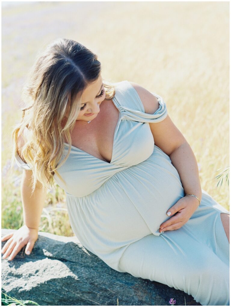 Folsom Lake Lupine Maternity